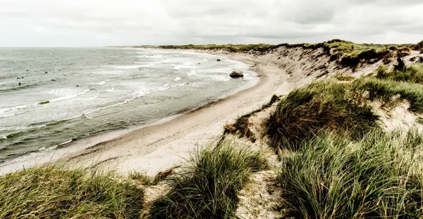 Sådan blev Danmarks første nationalpark til - Nationalpark Thy